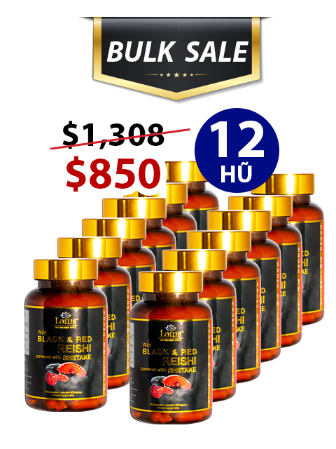 LOTUS SUPER SUPPLEMENT – Page 3 – Lotus by Johnny Dũng