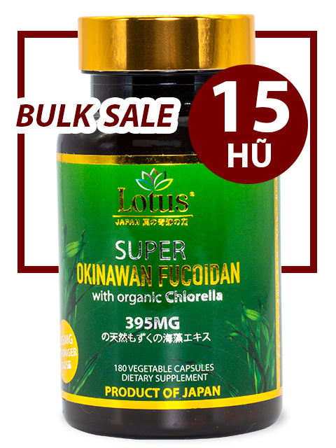 LOTUS SUPER FUCOIDAN – Lotus by Johnny Dũng