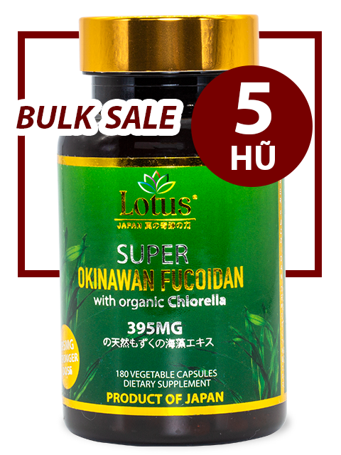 BULK SALE SAVING 5 HŨ - OKINAWA SUPER FUCOIDAN 395MG (180 CAPS) – Lotus ...