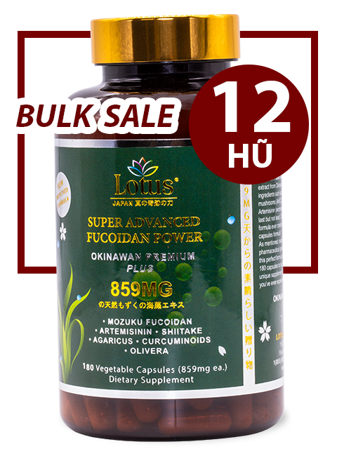 BULK SALE SAVING 12 HŨ - SUPER FUCOIDAN POWER PLUS 859MG (180 CAPS ...