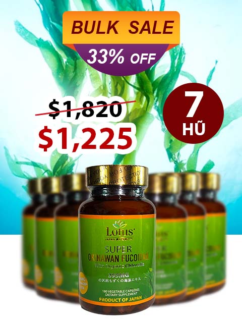 LOTUS SUPER FUCOIDAN – Lotus by Johnny Dũng